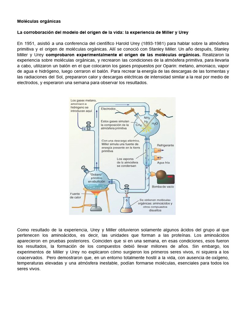 Mol-Culas Org-Nicas - Urey y Miller | PDF