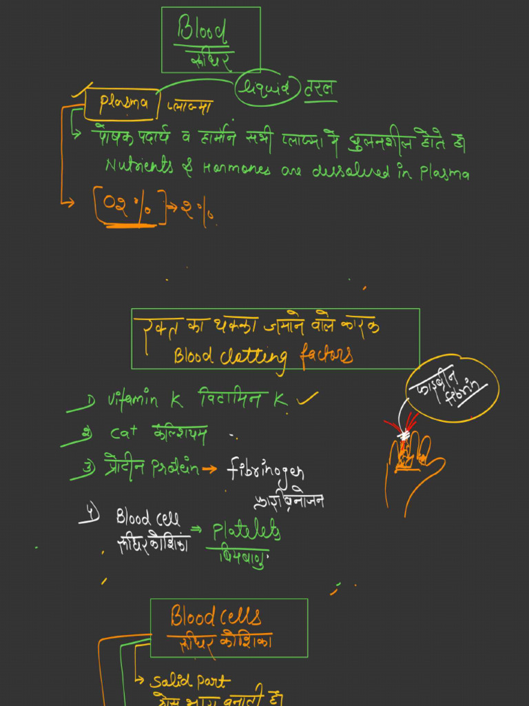 Biology 7 | PDF