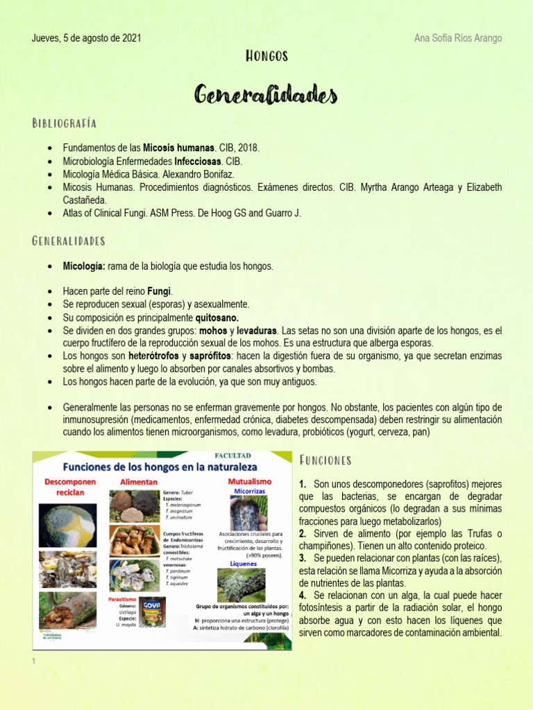 1a. Generalidades Hongos | PDF | Hongo | Polisacárido