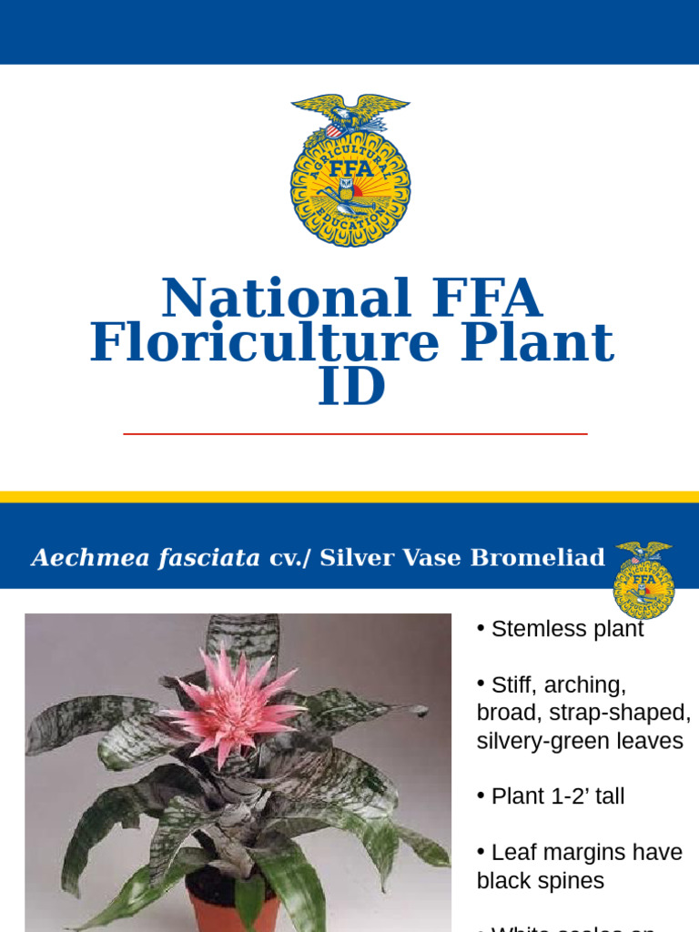 Copy of National FFA Floriculture ID | PDF | Leaf | Flowers