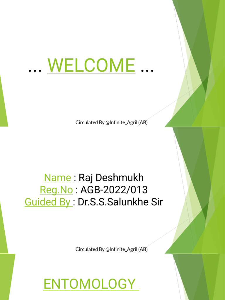 ENTO-121 Metamorphosis | PDF | Pupa | Insects