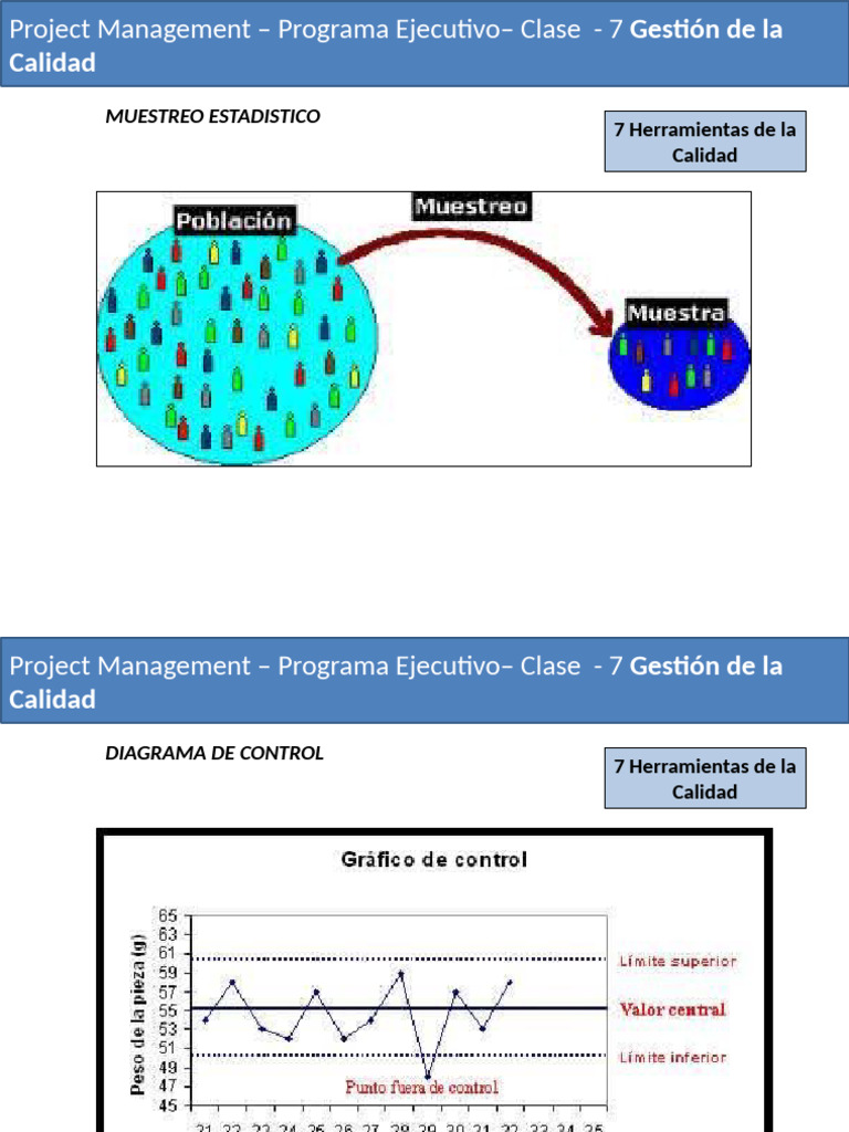 7 herramientas de la calidad | PDF