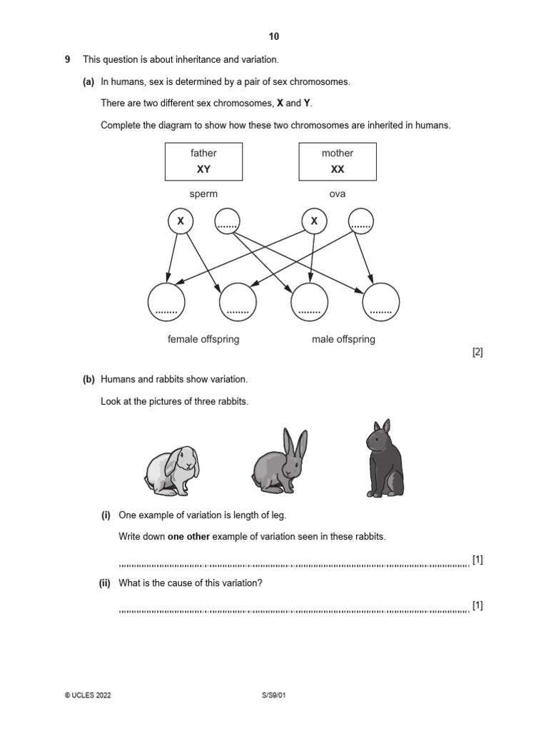 Grade 8 BIO Checkpoint Past Ppr Booklet Qs p50 -109 '24-25 | PDF ...