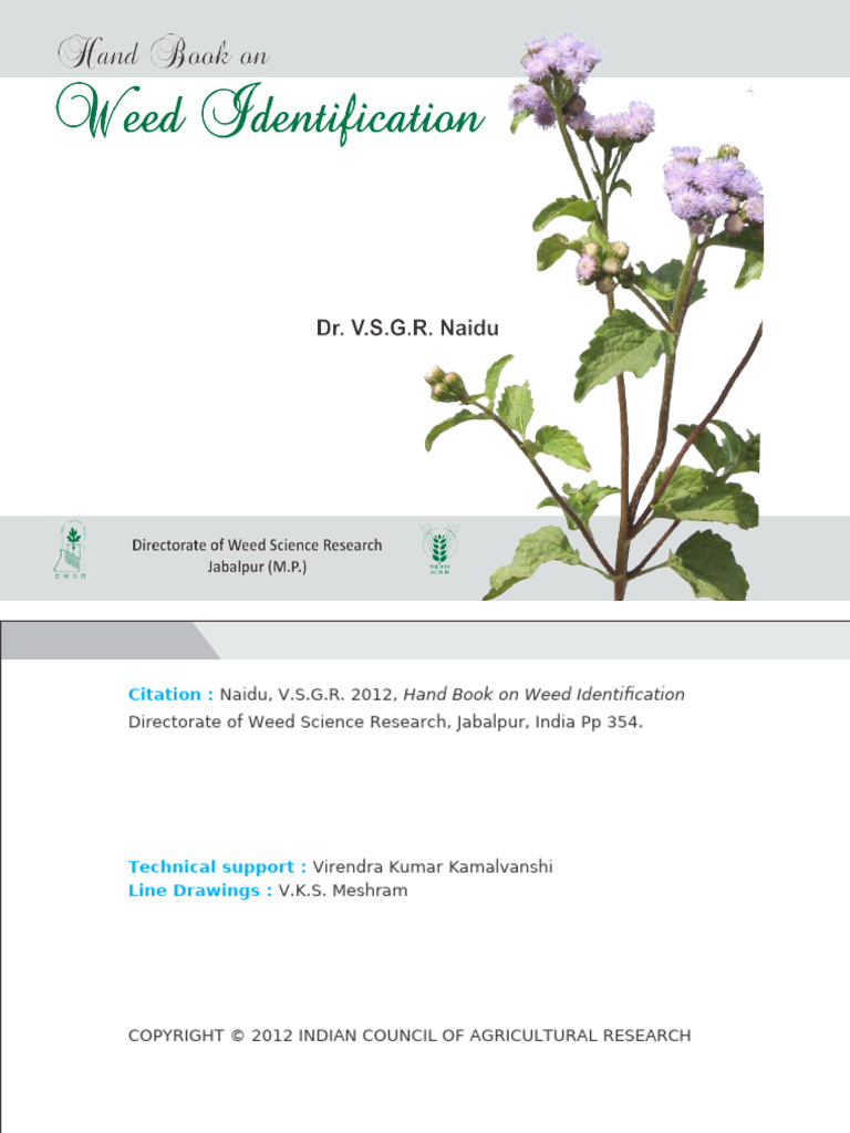 Hand Book On - Weed Identification Word | PDF | Weed | Leaf