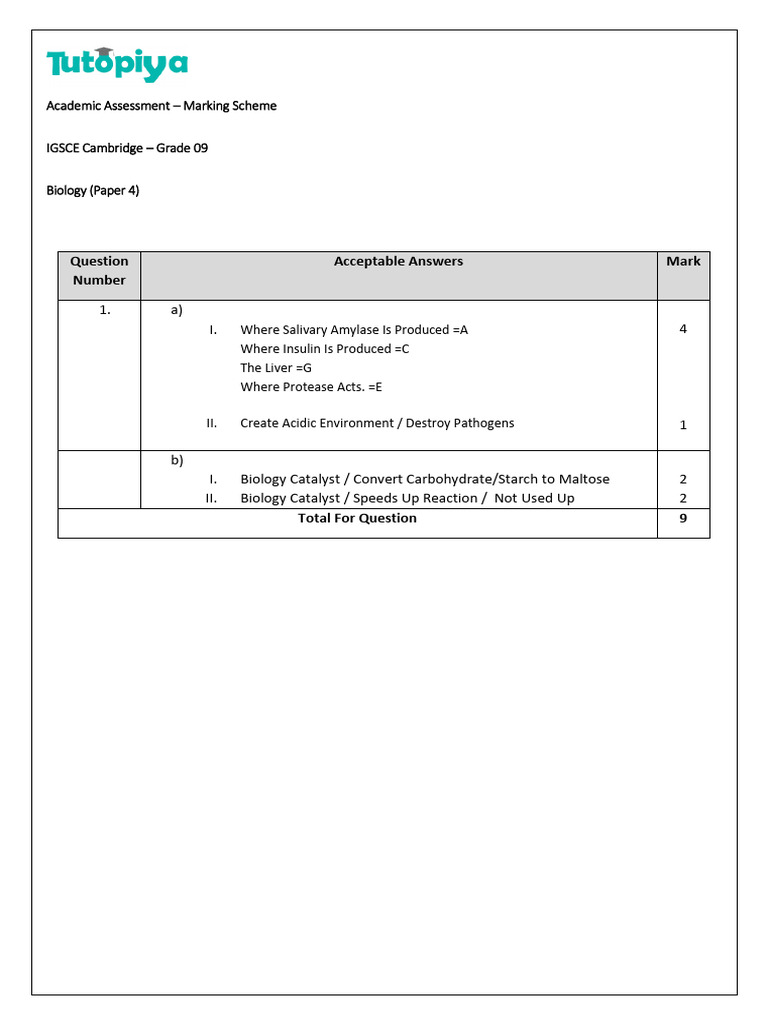 Biology P4 Marking Scheme - Gr 9 | PDF | Biology | Photosynthesis