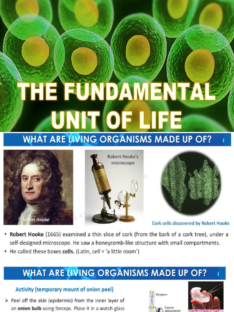 Fundamental Unit of Life - PPT | PDF