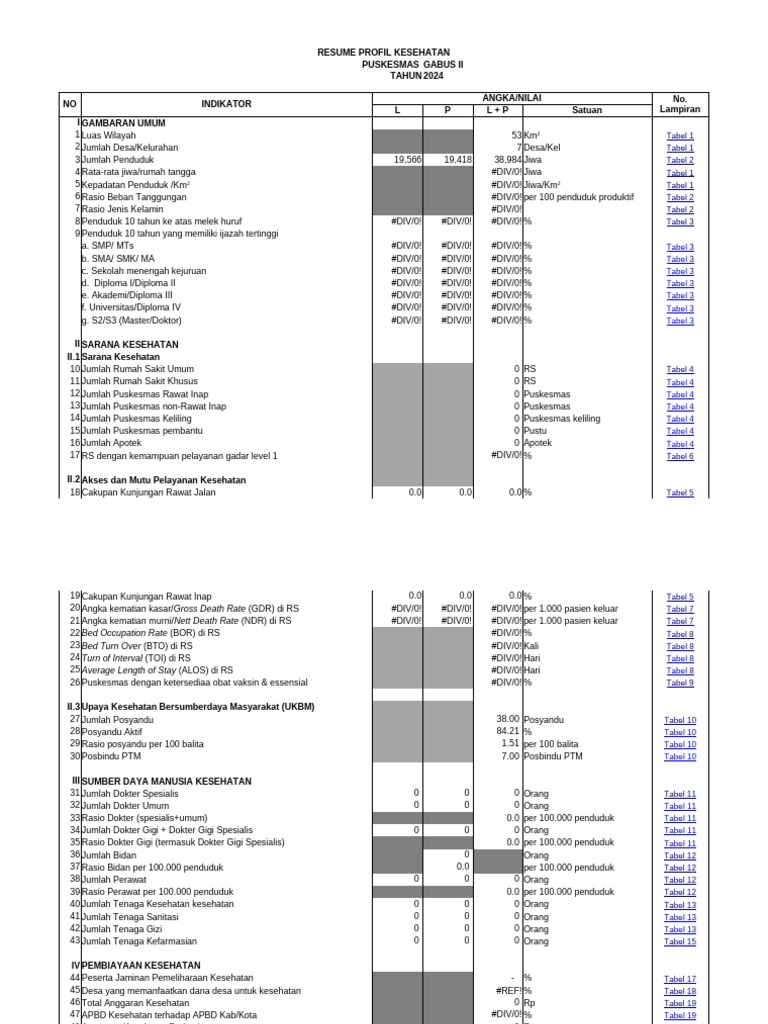 LAMPIRAN JUKNIS PROFIL KES 2024 - Puskesmas (1) | PDF