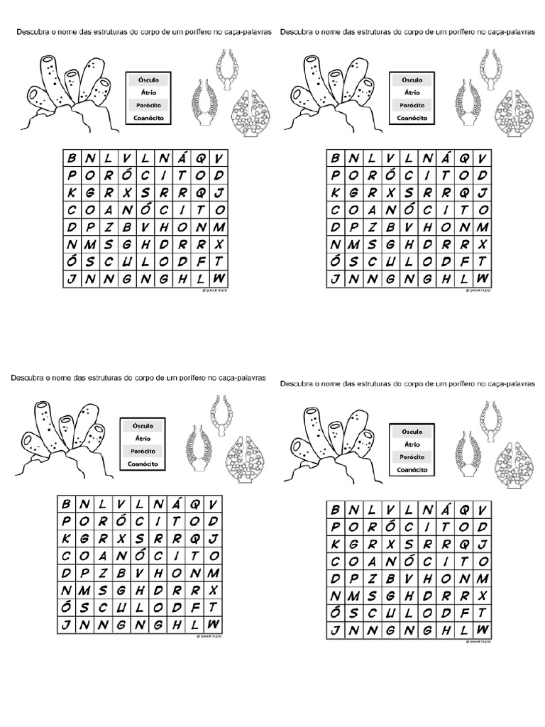 Ativi Porifero | PDF