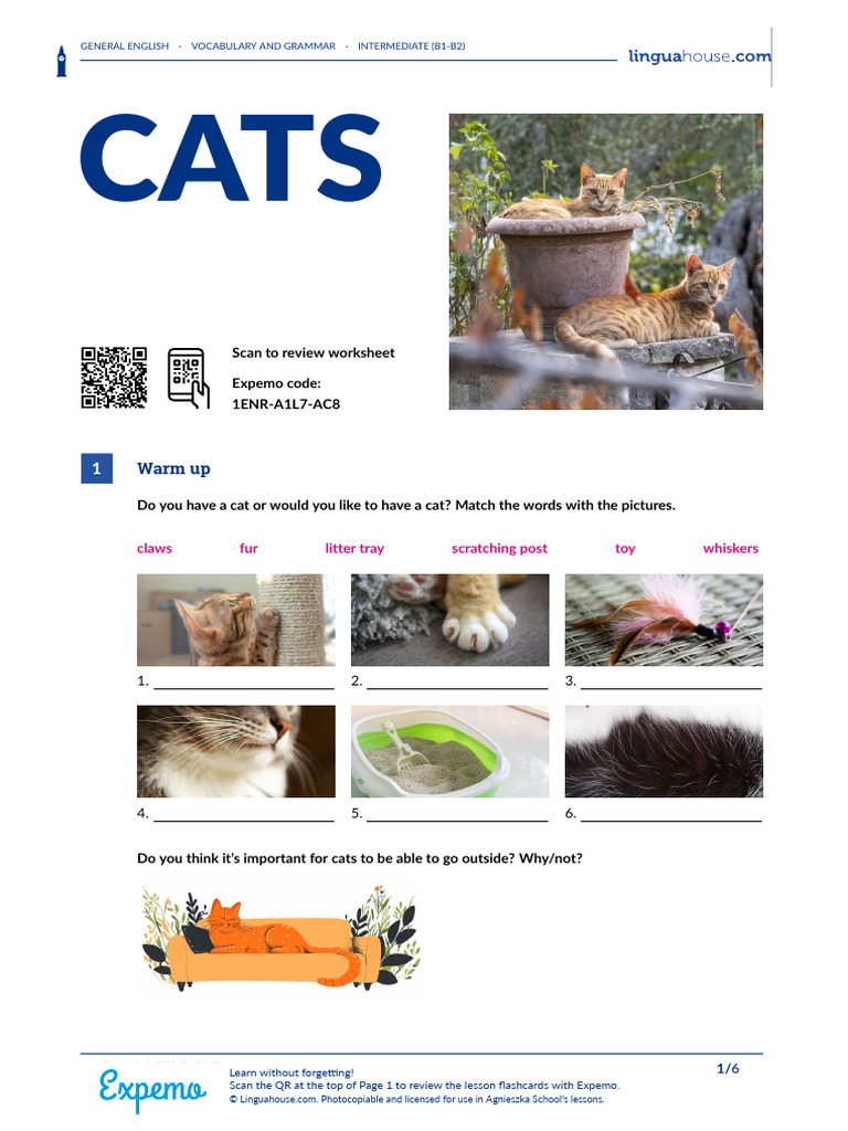 Cats British English Student B1 B2 | PDF | Cats | Verb