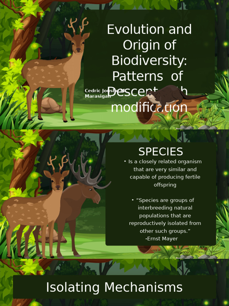 Evolution and Origin of Biodiversity Patterns of Descent With Modification | PDF | Hybrid ...