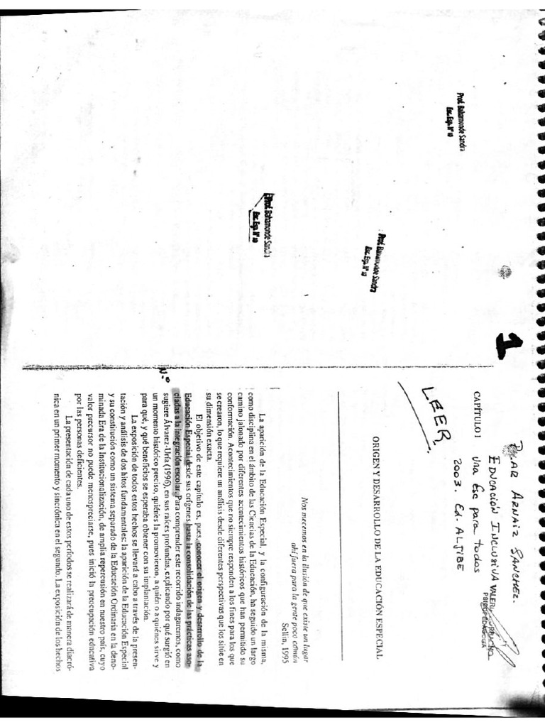 Cap 1 Pilar | PDF