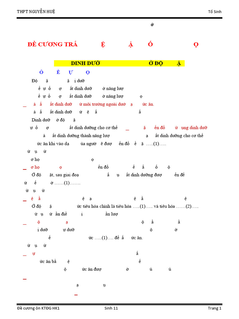 Đề cương ôn thi HK1 K11 GV | PDF