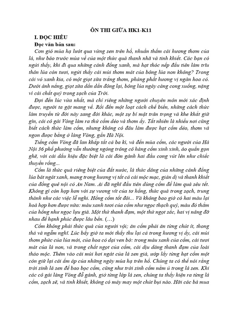 ÔN-THI-GIỮA-HK1-k11-new | PDF