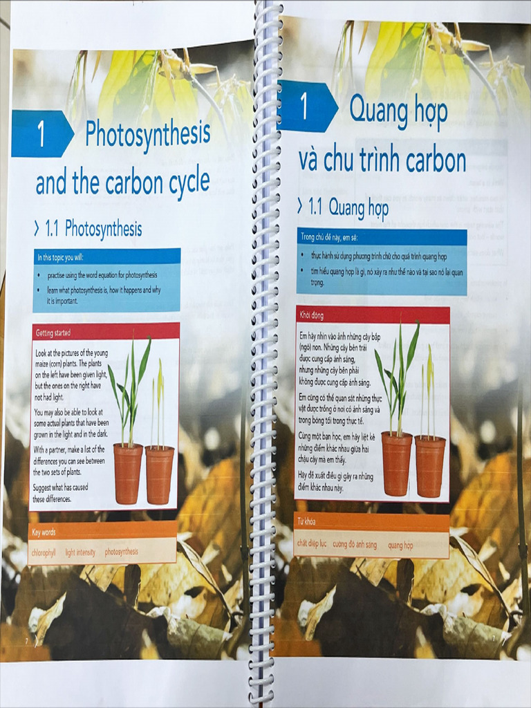 Science Grade 9 | PDF