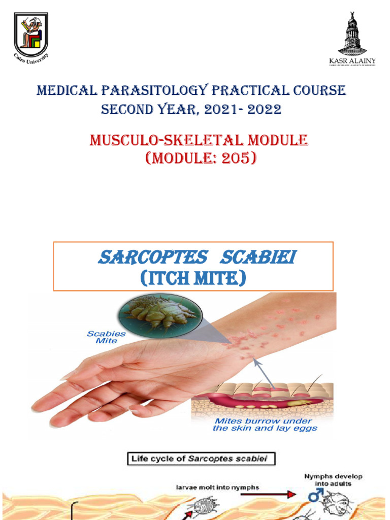 5-Scabies & Demodex + Revision | PDF