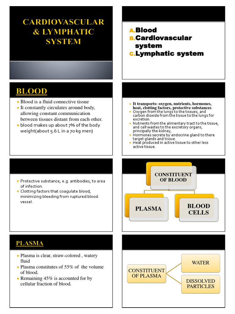 UNIT 6 CIRCULATORY & LYMPHATIC SYSTEM (2) (1) - converted | PDF | Heart ...