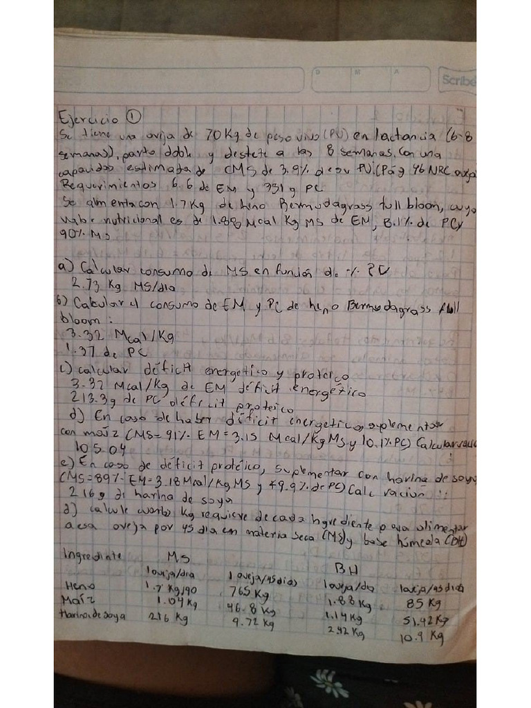 Image To PDF 20250407 15.32.46 | PDF