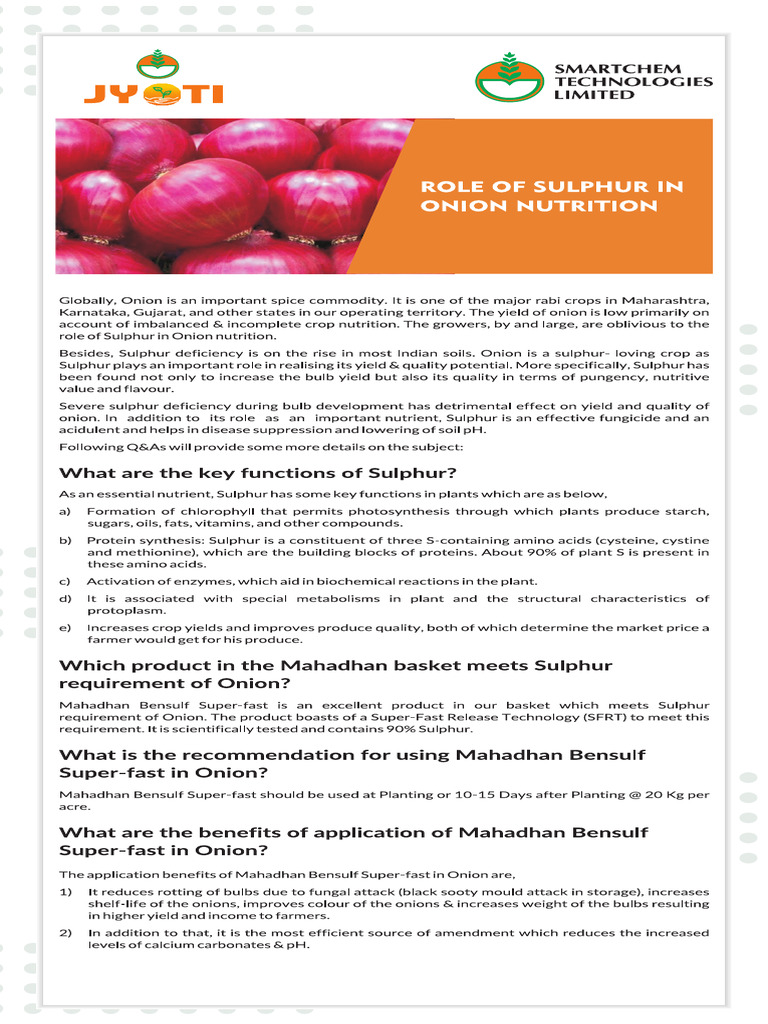 Mahadhan Jyoti 10 | PDF