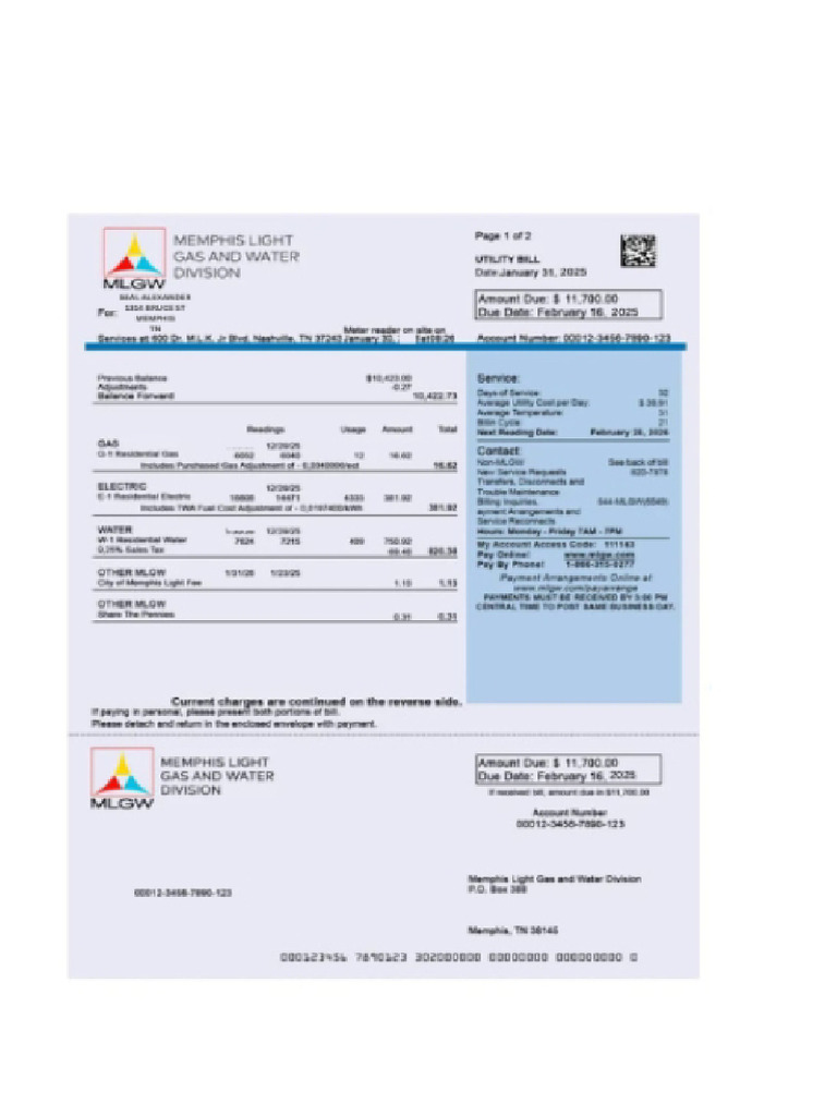 Utility Bill | PDF