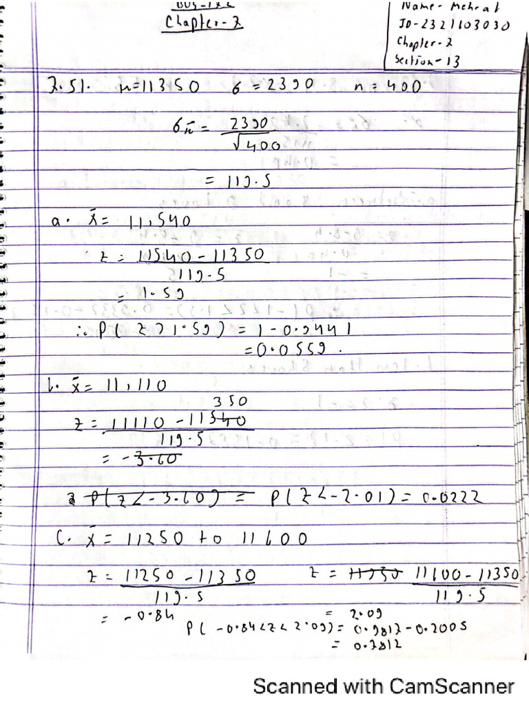 Bus 172 Assignment (Mehrab) | PDF