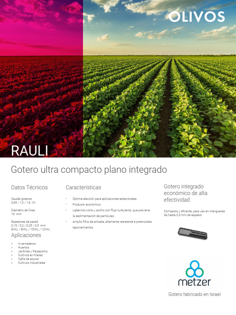 Ficha Tecnica Rauli | PDF