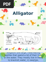 Average Weight of American Alligators | PDF | Pound (Mass) | Crocodile