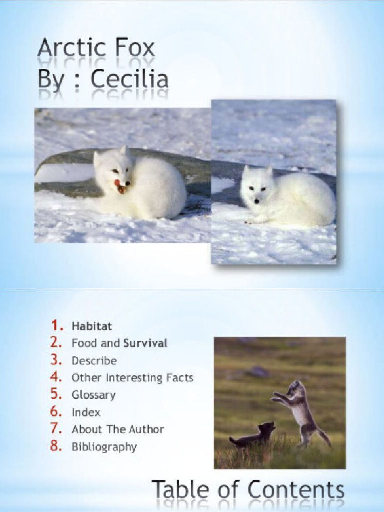 Arctic Fox | PDF