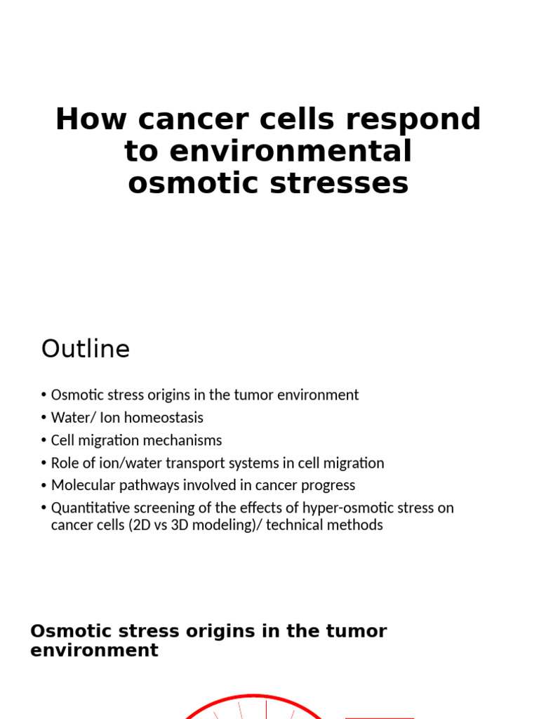 Cancer Cell Response to Osmotic Stress | PDF | Cell Migration | Cancer