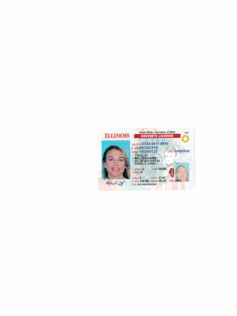 Missy Drivers License | PDF