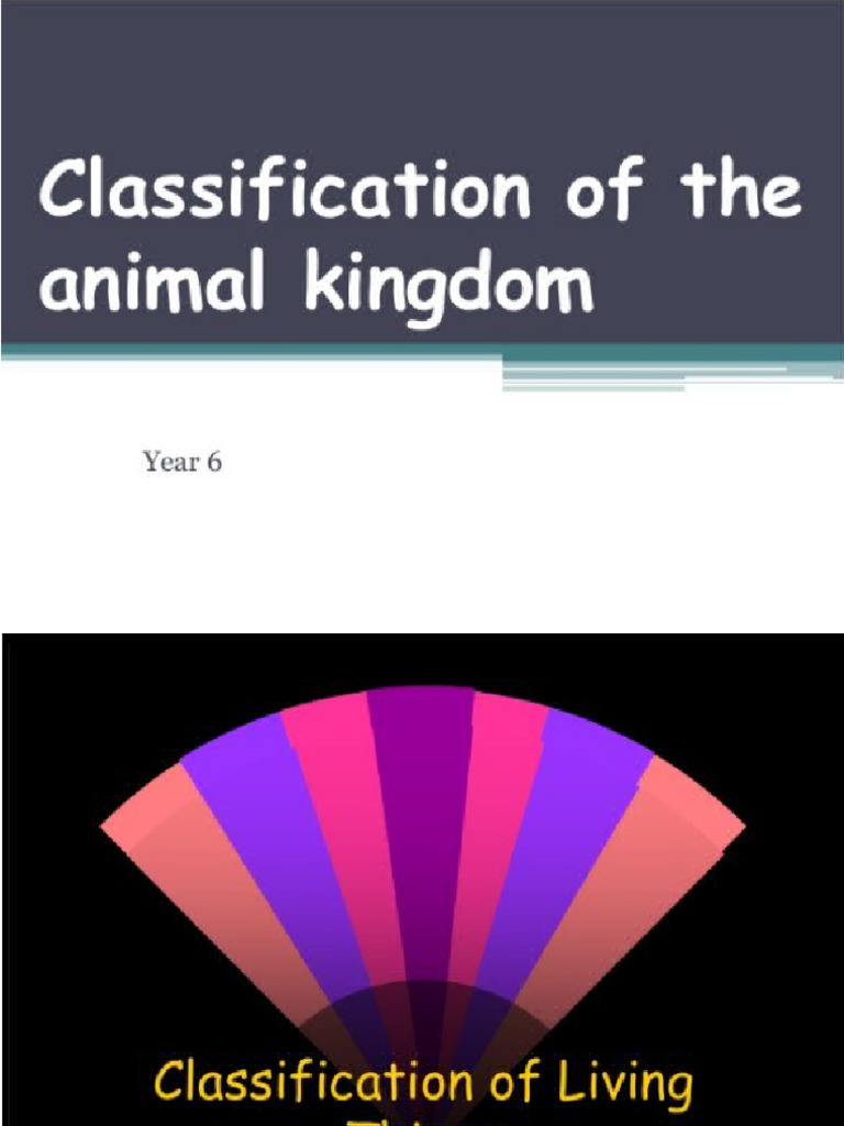 Classification of The Animal Kingdom | PDF