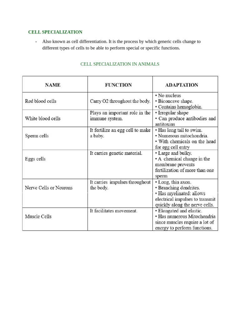 Cell Specialization and Modification | PDF