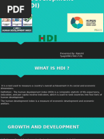 HDI Project Class12 | PDF