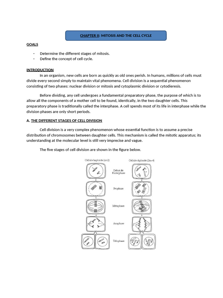 Chapitre Iii La Mitose Et Le Cycle Cellulaire Pdf Mitosis Cell