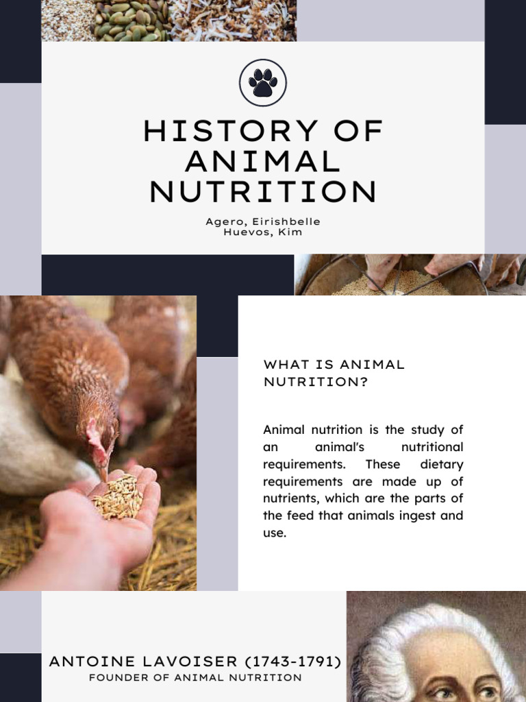 ANIMAL NUTRITION PPT Compressed | PDF | Carbohydrates | Vitamin