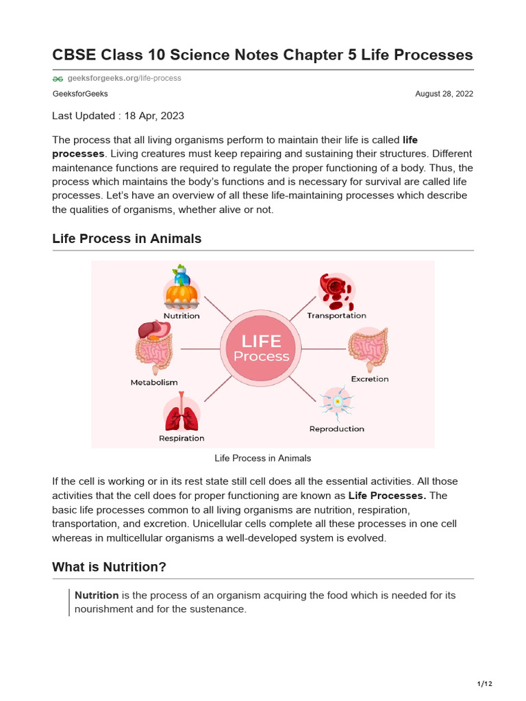 CBSE Class 10 Science Notes Chapter 5 Life Processes | PDF ...