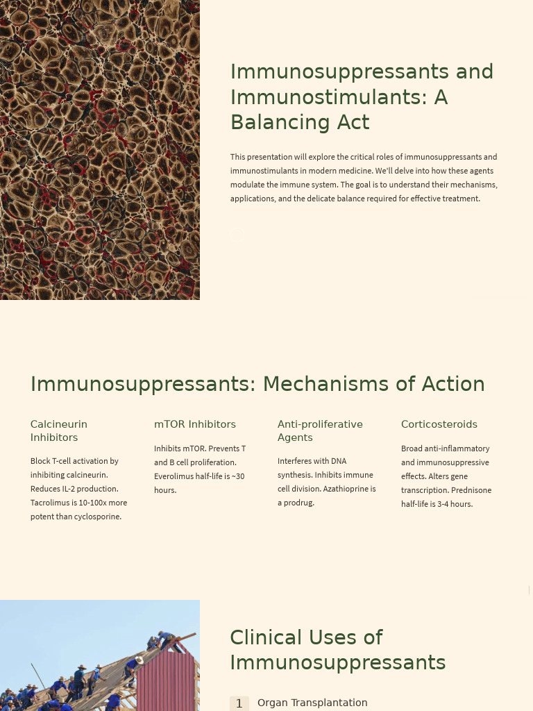 Immunosuppressants and Immunostimulants A Balancing Act | PDF | Immune ...