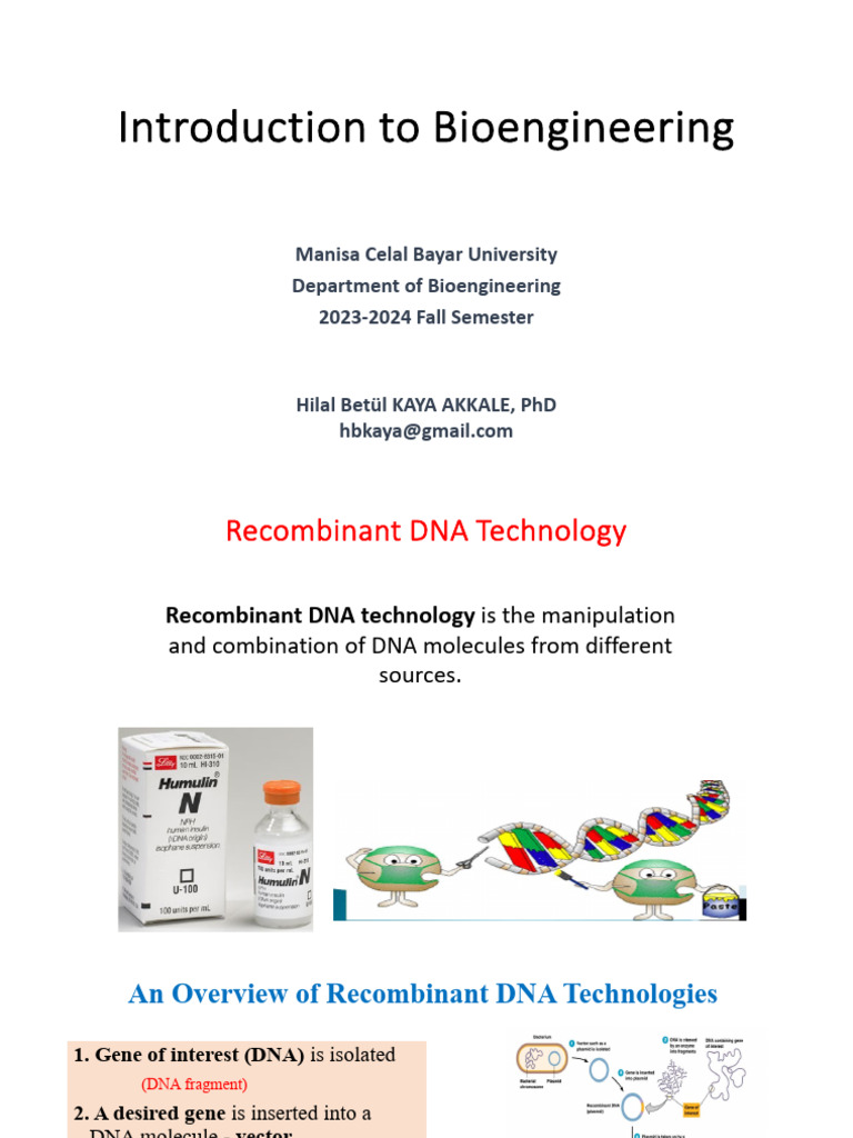 Intro to Bioengineering 4 | PDF | Molecular Cloning | Dna