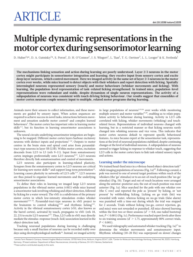 Multiple Dynamic Representations In The Motor Cortex During Sensorimotor Learning Pdf