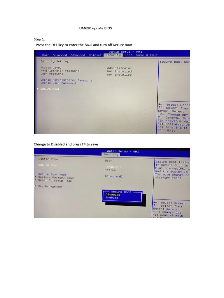 UM690 Update BIOS | PDF