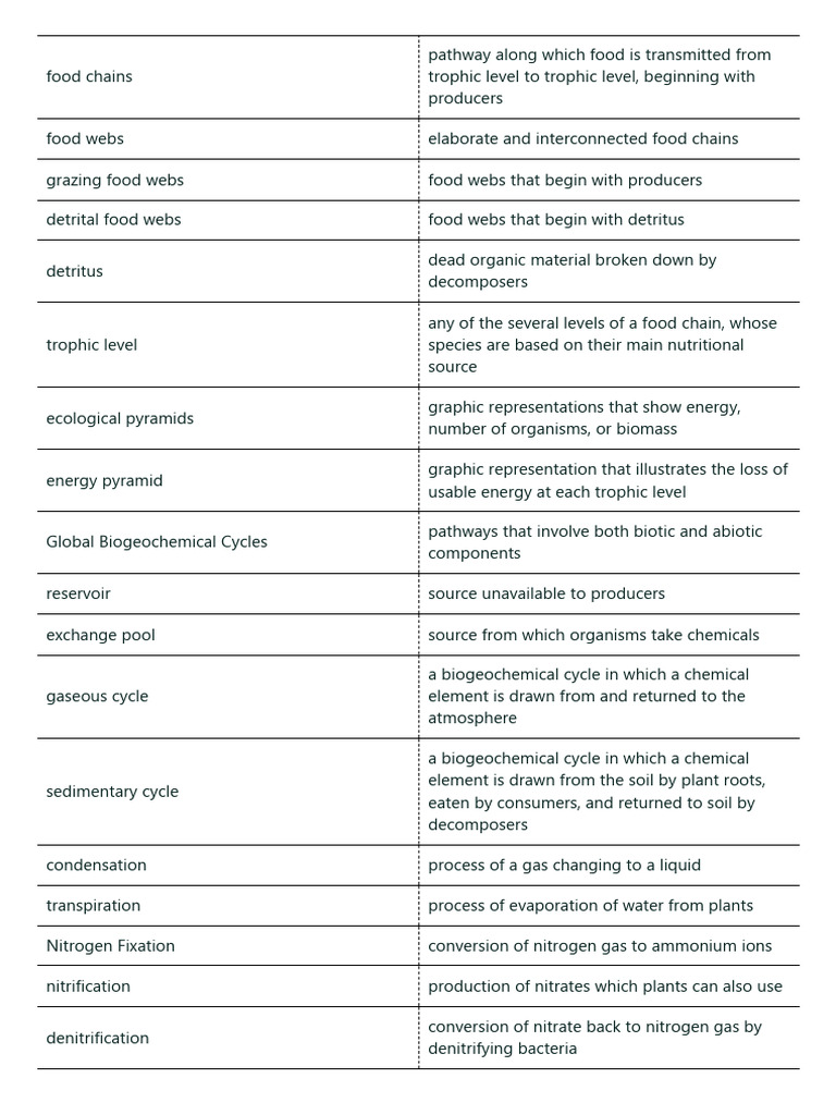 Understanding Food Chains and Ecosystems | PDF | Food Web | Ecosystem