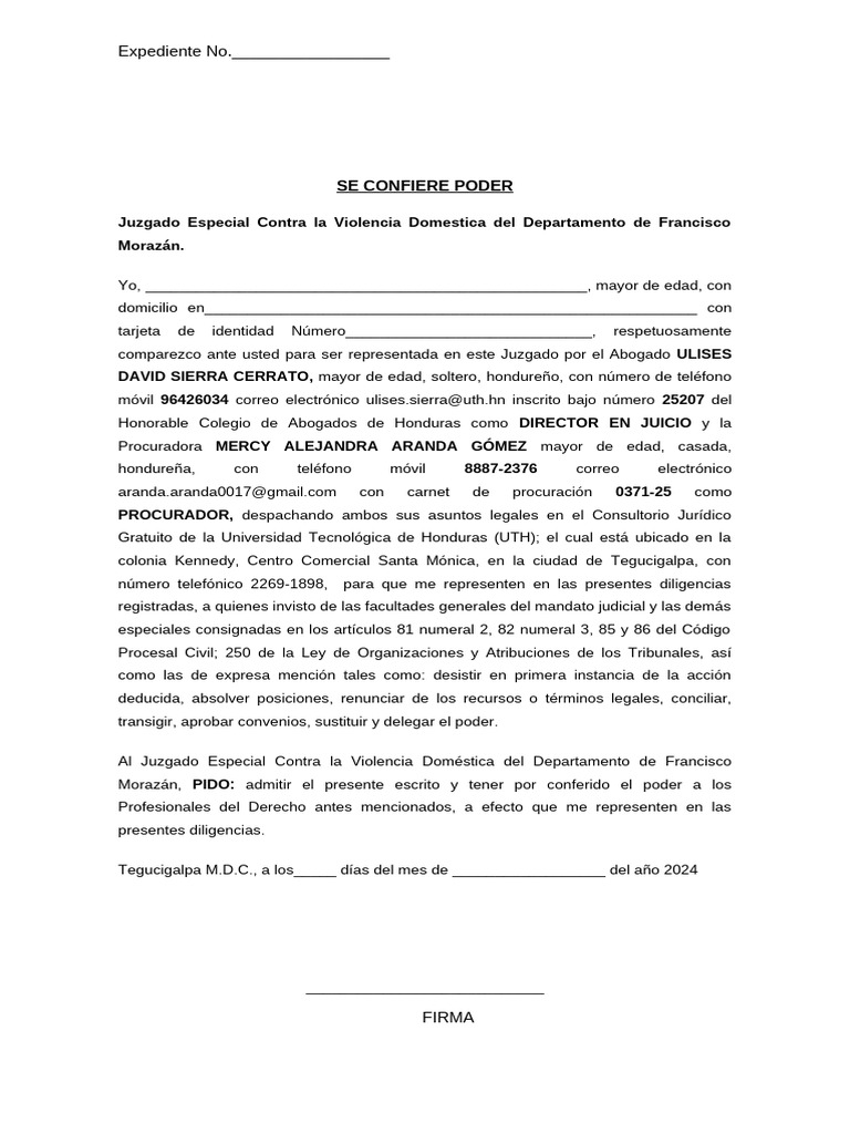 Poder de Violencia Mercy Aranda | PDF