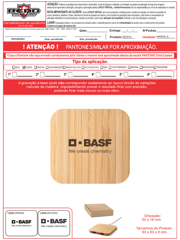 Tec613 Basf Am | PDF