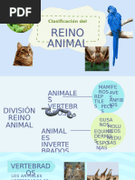 Ciclo de vida y reproducción de arañas | PDF | Araña | Huevo