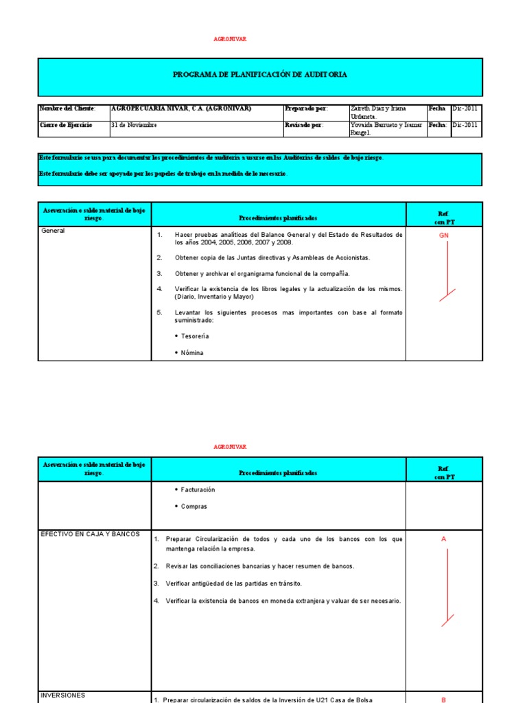 Planificación de Auditoría para AGRONIVAR | PDF | Contabilidad ...