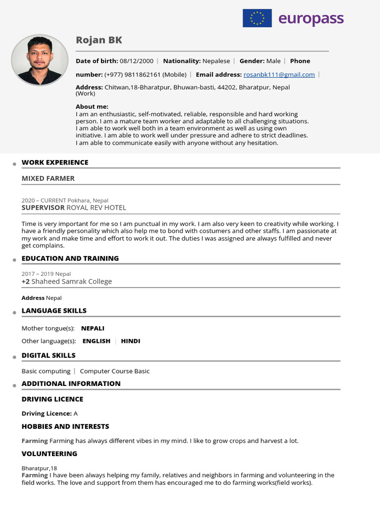 CV - Rojan BK | PDF