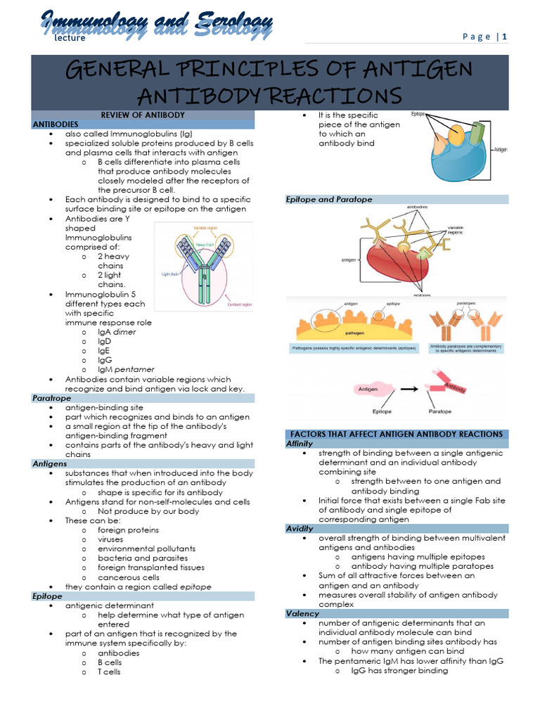 General Principles of Antigen Antibody Reactions | PDF | Antibody | Antigen