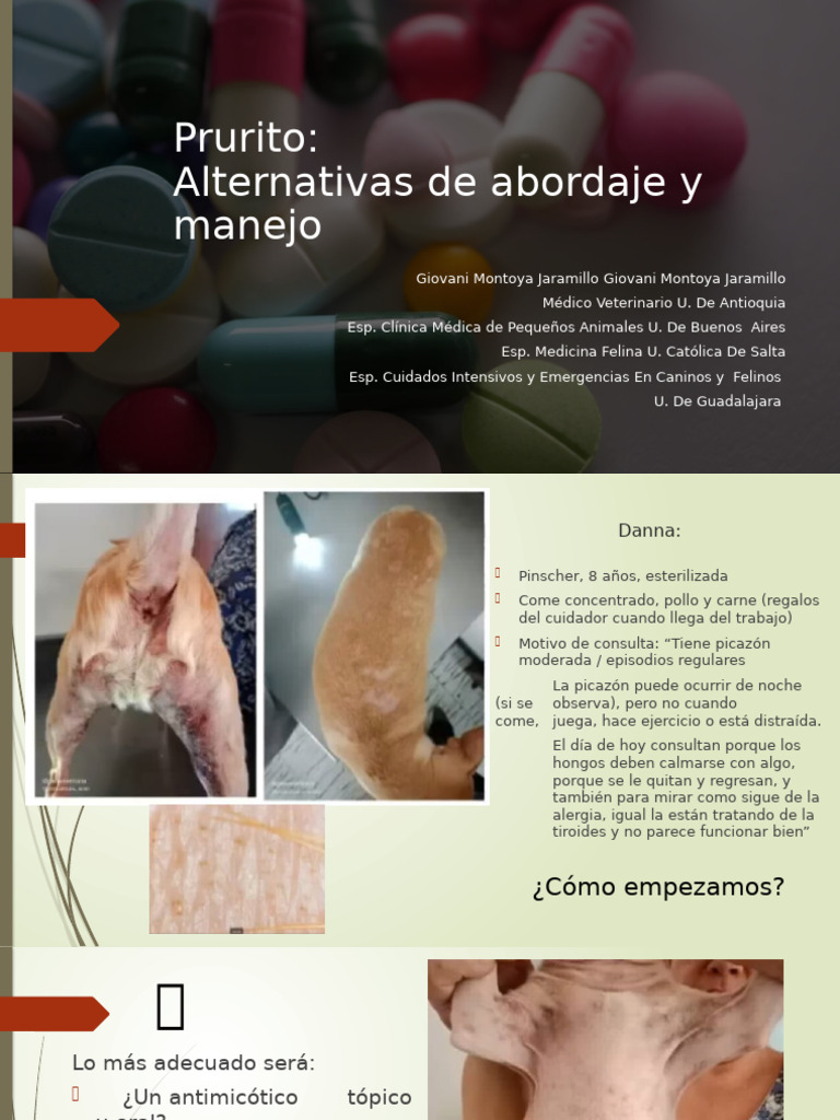 Manejo del Prurito en Mascotas | PDF | Alergia | Medicina