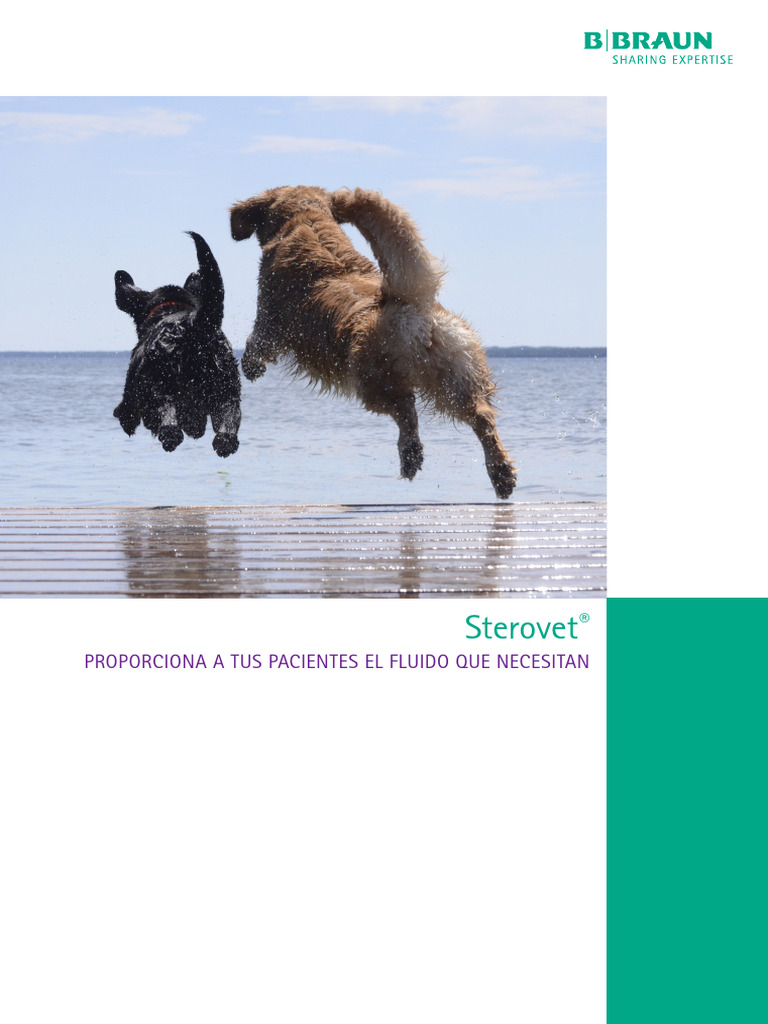 Sterovet El Fluidoidealparatuspacientes | PDF | Potasio | Química