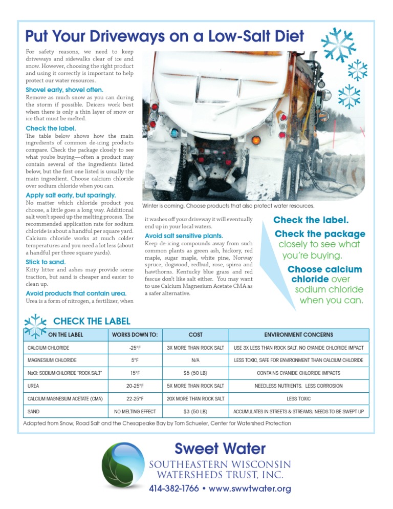 Low Salt Flyer | PDF | Sodium Chloride | Chloride