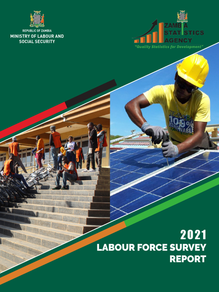 2021 Labour Force Survey Report | PDF | Unemployment | Workforce